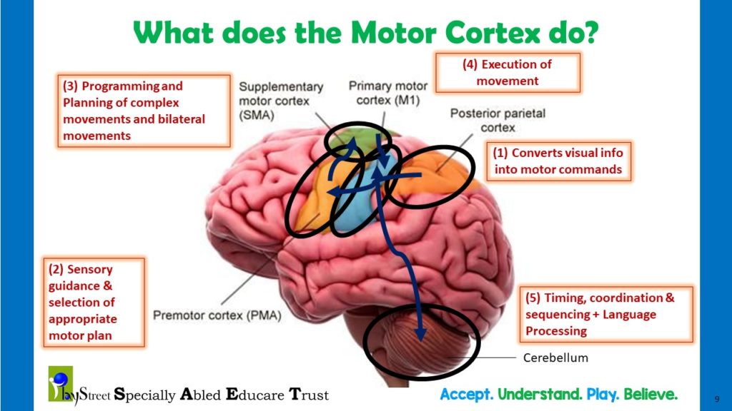 Movement Based Interventions - Playstreet