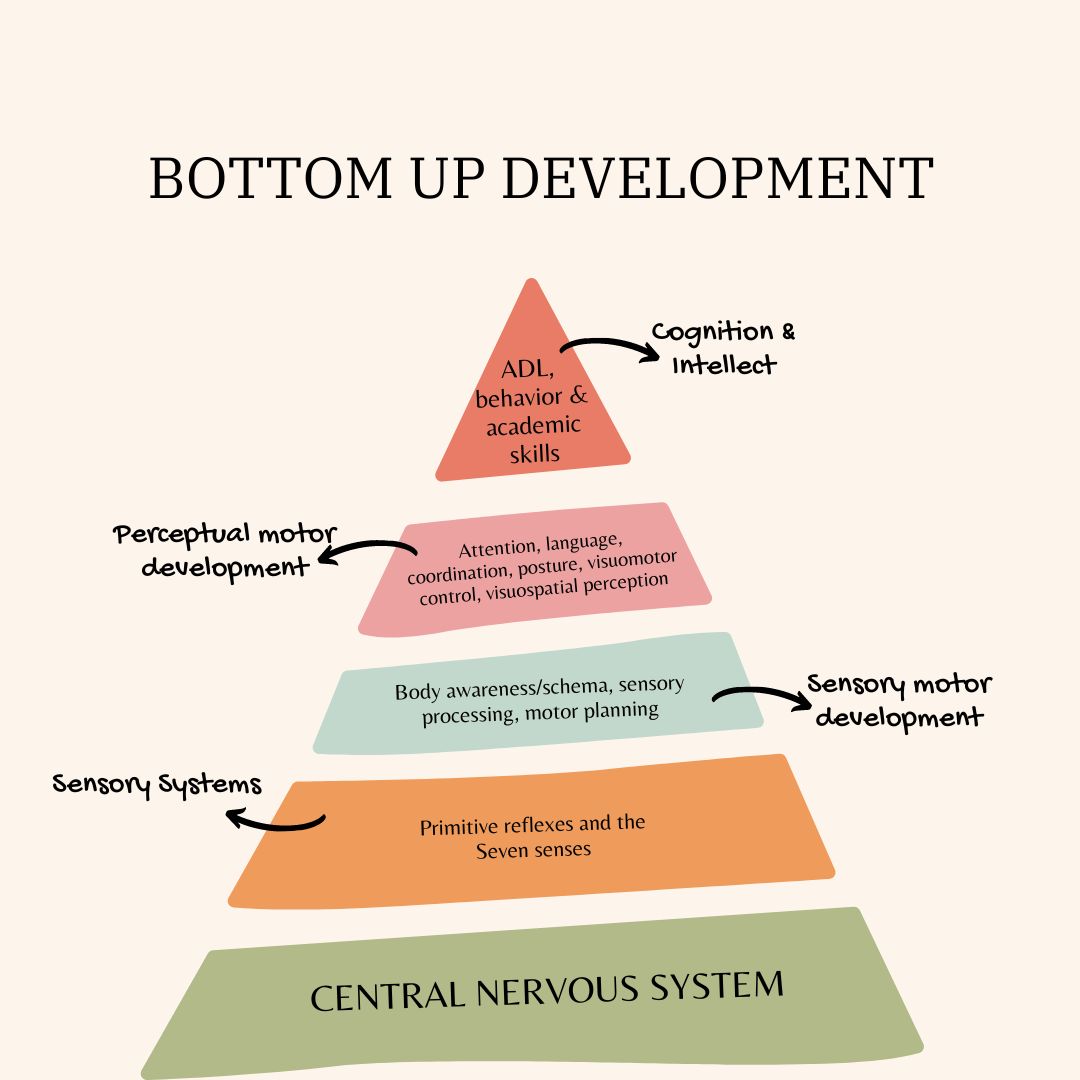Retained primitive reflexes - Playstreet
