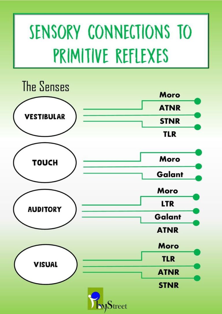 Retained primitive reflexes - Playstreet